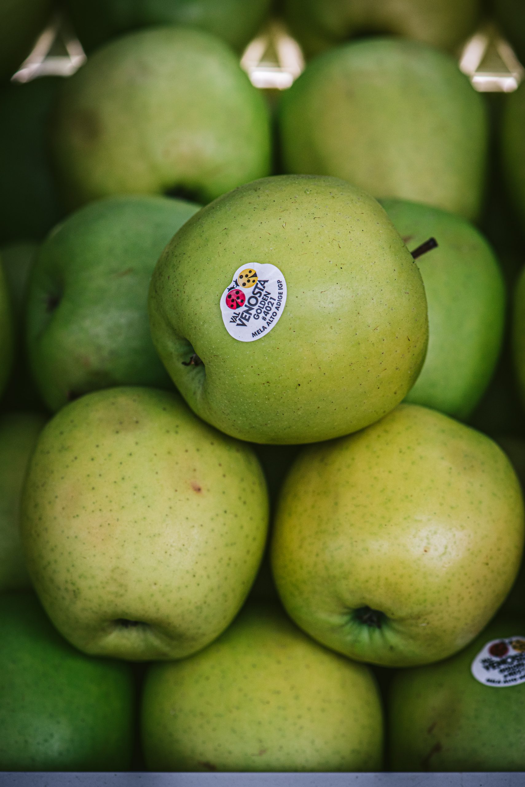 Apples Golden (Val Venosta) - FreshFrooters.gr