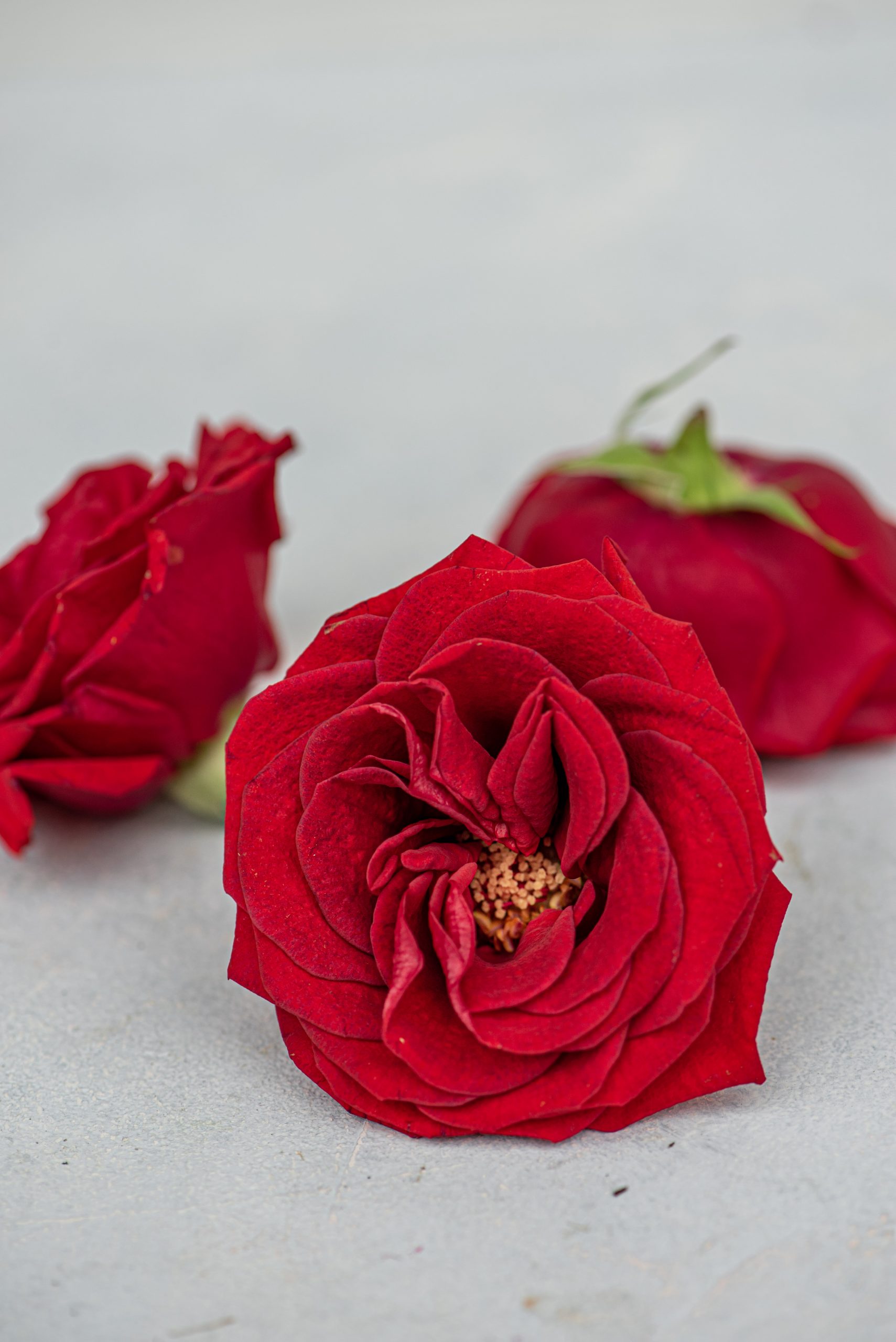 Edible Roses - FreshFrooters.gr